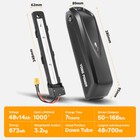 RAD POWER Lithium Ebike Battery 48V 14Ah Rad External Battery Pack | eBay