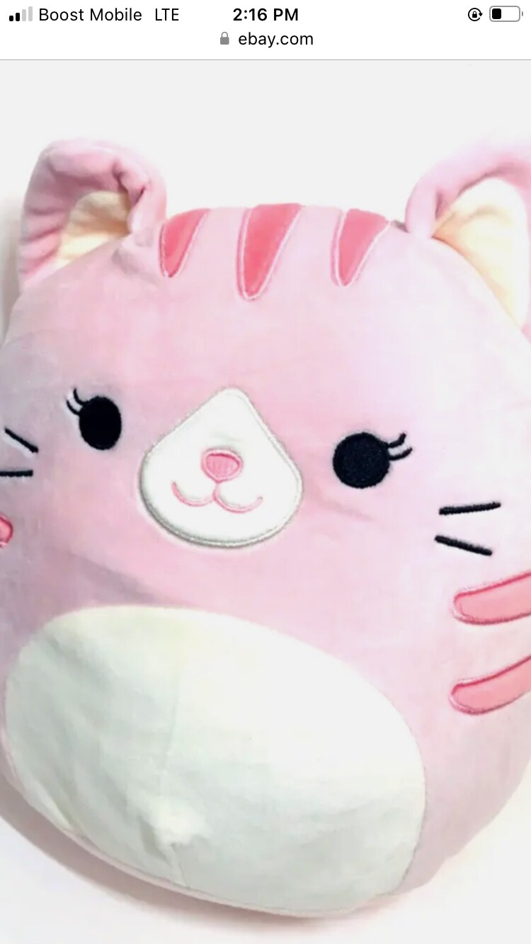 Original Squishmallows **LAURA the PINK KITTY CAT** 10 PLUSH New With ...