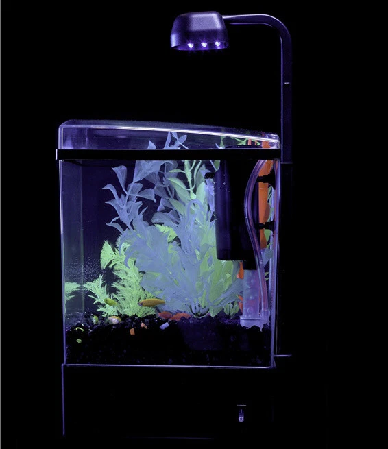 Glow Fish Tank