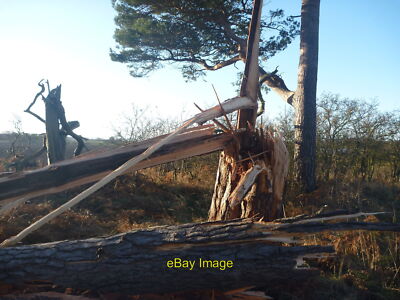 Photo 6x4 East Lothian Landscape : Splintered Stump Near Hedderwick ...