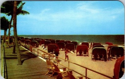 Vintage Exotic Florida Beach Postcard by Gulf Strike Cards Miami | eBay