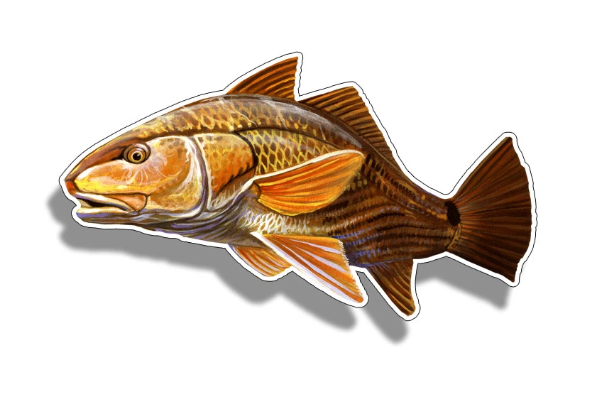 Redfish Sticker