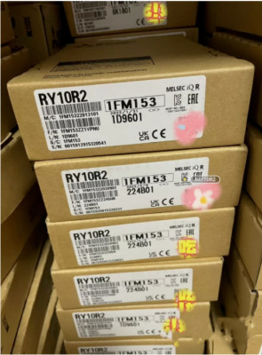 RY10R2 NEW In Box 1PCS Free Expedited Shipping*j | eBay