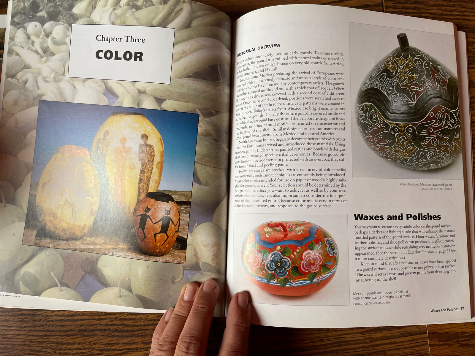 The Complete Book of Gourd Craft : 22 Projects, 55 Techniques, 300 ...