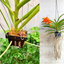 Vanda Pots Black Square Plastic Orchid Planting Hanging Mesh Baskets 5 ...