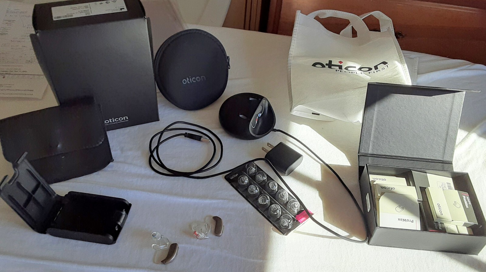 Oticon MiniRite Ruby 2 R Li-Ion Rechargeable Hearing Aids, Cases ...
