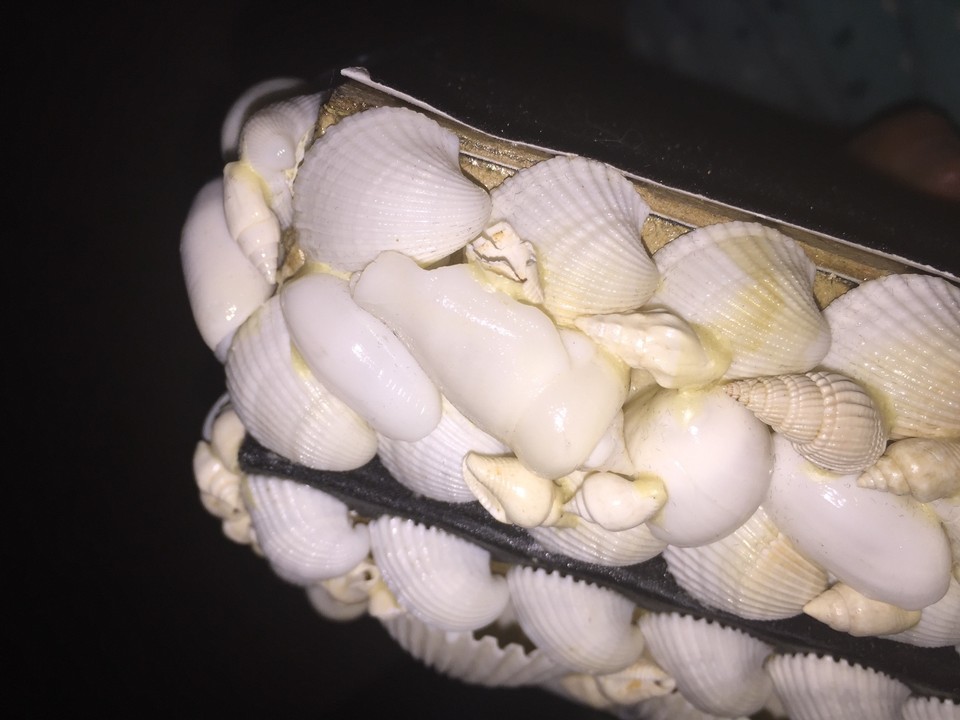 SEASHELL Box Jewelry Memory Beach Cottage Decor | eBay