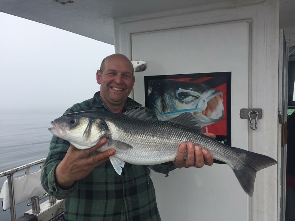 SANDEEL FISHING EDDYSTONE LURES 115mm EDDYSTONE EEL BASS COD POLLACK ...