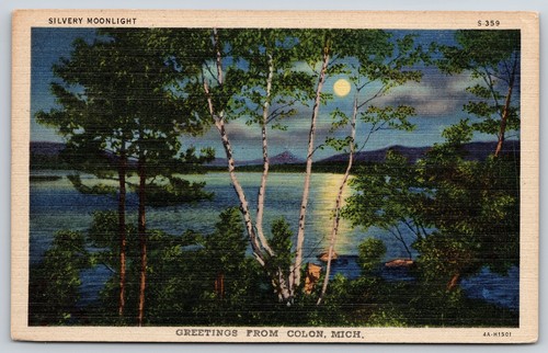 Linen~Air View Lake At Night @ Colon Michigan~Vintage Postcard | eBay