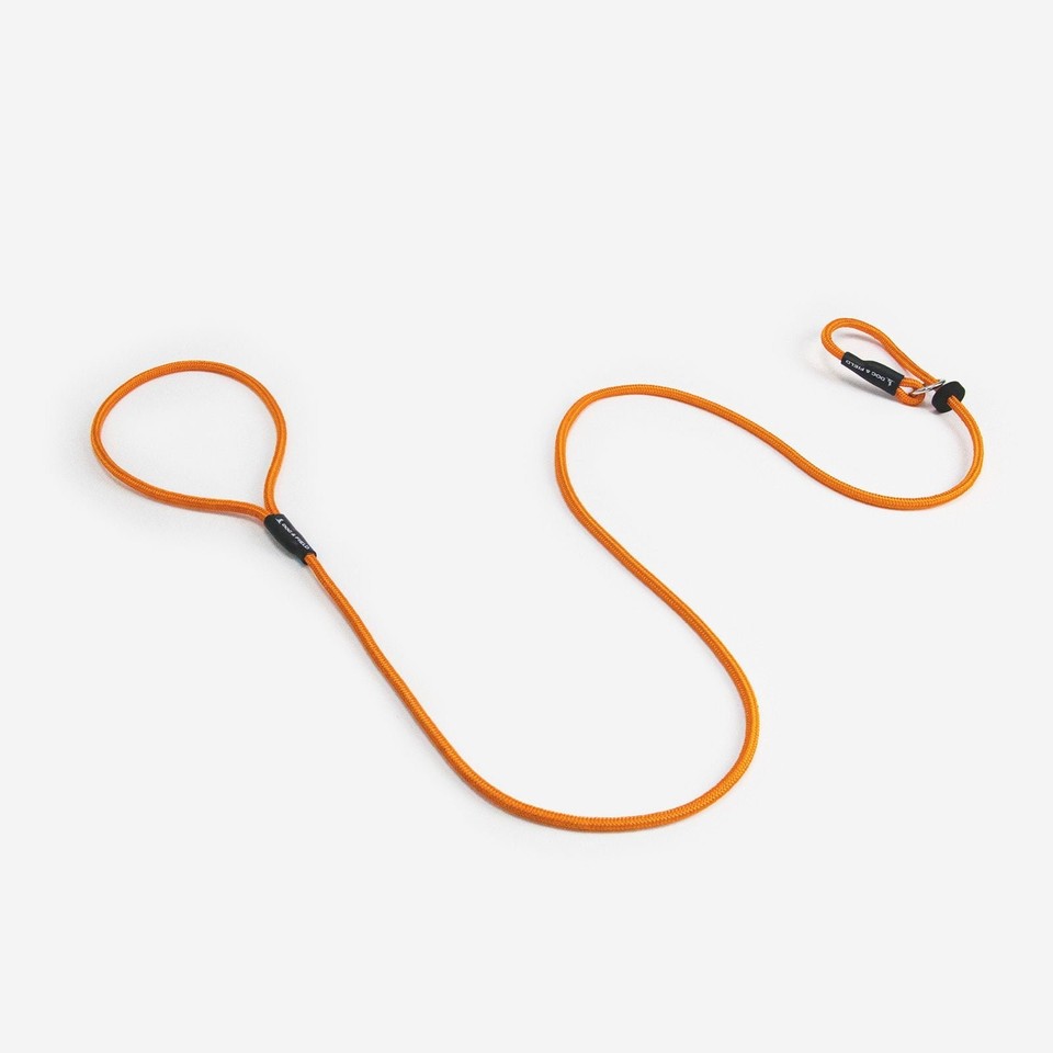Dog & Field Signature Slip Lead – Lightweight 5mm Dog Training Lead ...