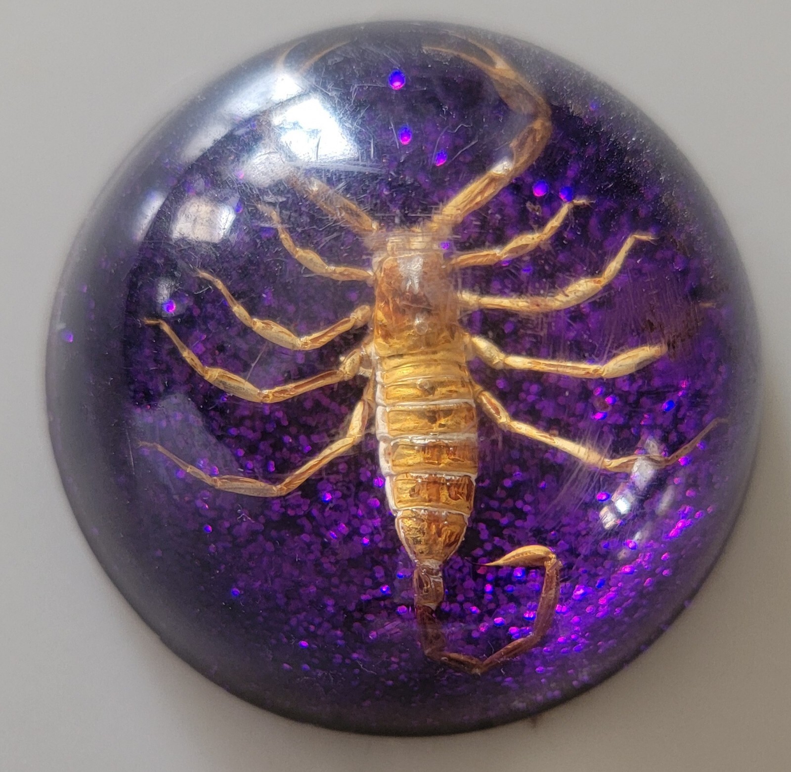 Vintage Desert Scorpian In Lucite Necklace & Dome Paperweight Purple ...