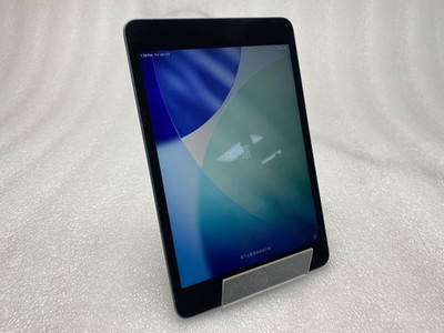 Apple iPad mini (5th Gen) (A2126) WiFi + Cellular Space Gray 256GB | eBay