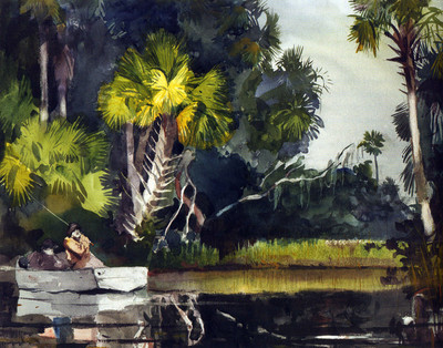Winslow Homer Homosassa Jungle In Florida Canvas 16 x 20 | eBay