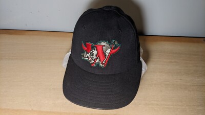 Winston Salem Warthogs MiLB New Era 59Fifty Fitted Wool Hat Size 7 Dash ...