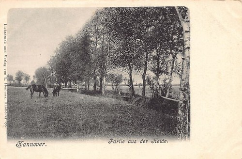 Deutschland - HANNOVER (NI) Partie aus der Heide | eBay