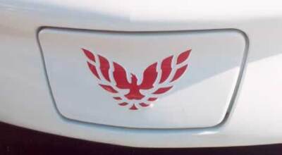 FRONT NOSE LICENSE PLATE OVERLAY DECALS FITS 98-02 PONTIAC TRANS AM ...