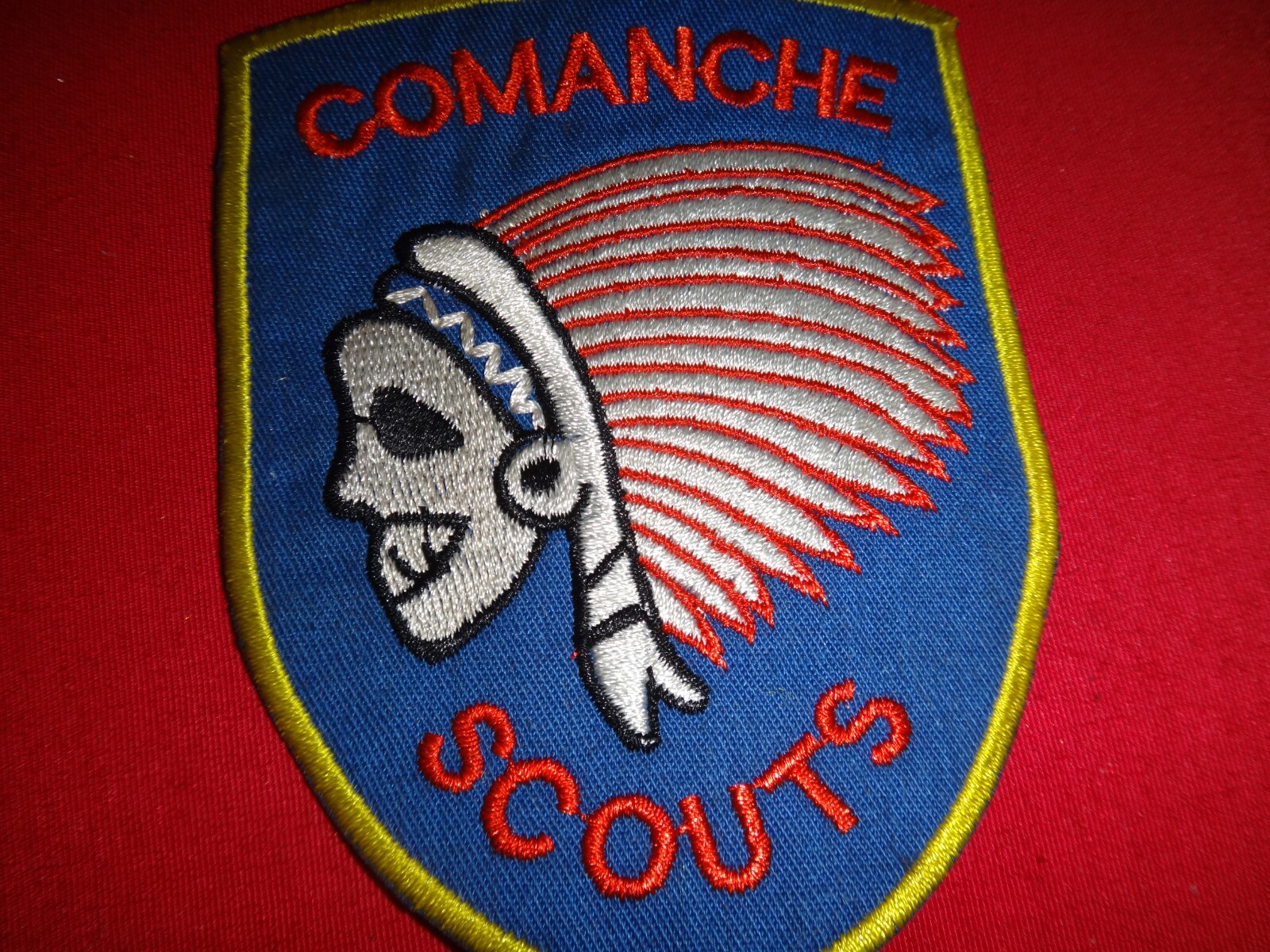 COMANCHE SCOUTS Charlie Troop US 7th Squadron 1st Air Cavalry Vietnam ...