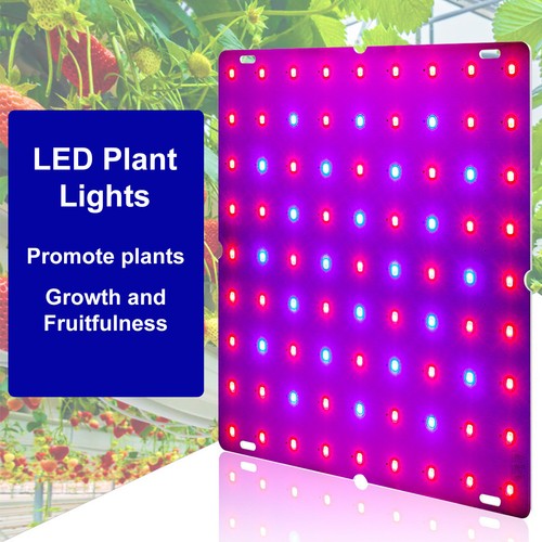 Quantum Panel Plant Light LED Red Blue Spectrum Indoor Plant Grow Light ...