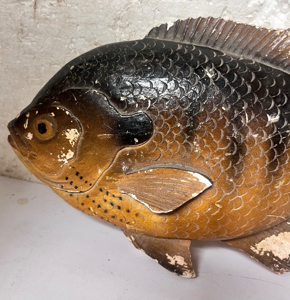 RARE Vintage Grain Belt Beer Chalkware Bluegill Fish 1950's Advertising ...
