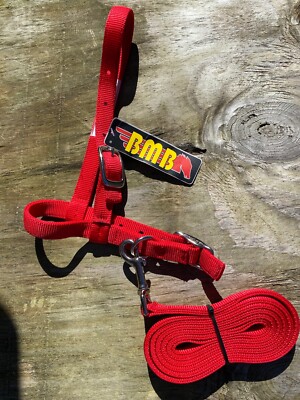 BMB adjustable red nylon sheep / goat halter w/lead | eBay