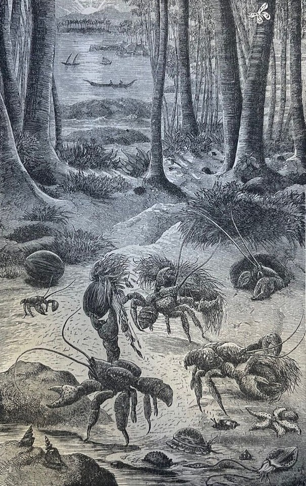 1866 Burrowing Animals Moles Bees Fox Prairie Dog Polar Bear Robber ...