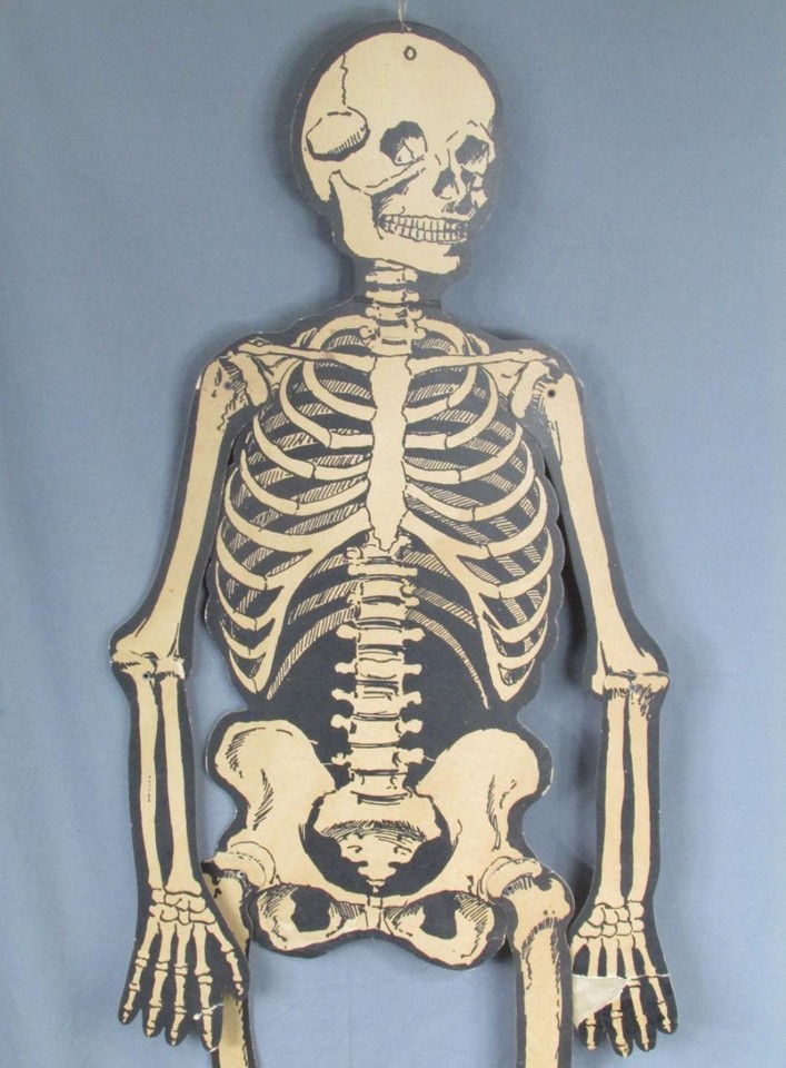 Vintage 1950s Halloween Beistle DieCut Jointed Skeleton Decoration Life ...