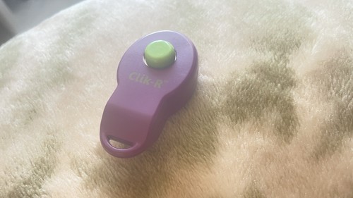 PetSafe Click-R Training Tool “Teach ANY Pet Tricks!” (Model: CLKR-RTL ...