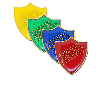 Senior Prefect Shield School Badge | eBay UK