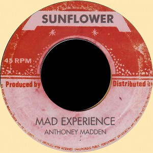 Anthony Madden - Mad Experience (7", RE, Unofficial) (Near Mint (NM or ...