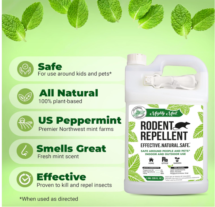 Mighty Mint 1 Gallon Mice Rat Rodent Repellent Spray, All Natural ...