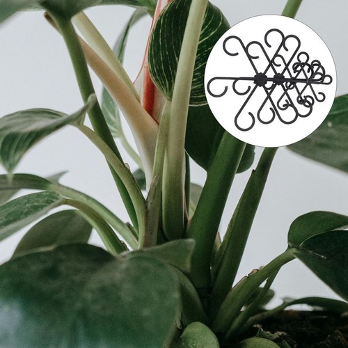 8 Pcs Plant Stem Support Climbing Branch Stabilizer Bonsai Organizer ...