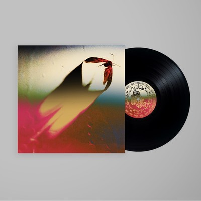 Scowl Are We All Angels (Vinyl) 12" Album | eBay