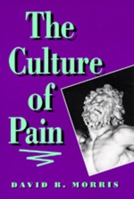 David B. Morris The Culture of Pain (Tascabile) | eBay