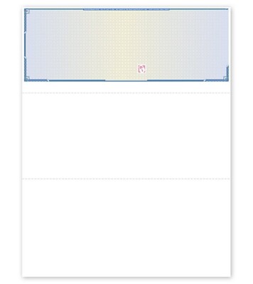 High Security Top Blank Voucher Checks by Deluxe / NEBS / SLT831 Free ...