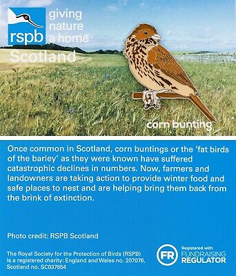 RSPB Pin Badge Scotland Special Corn Bunting P01461 | eBay UK