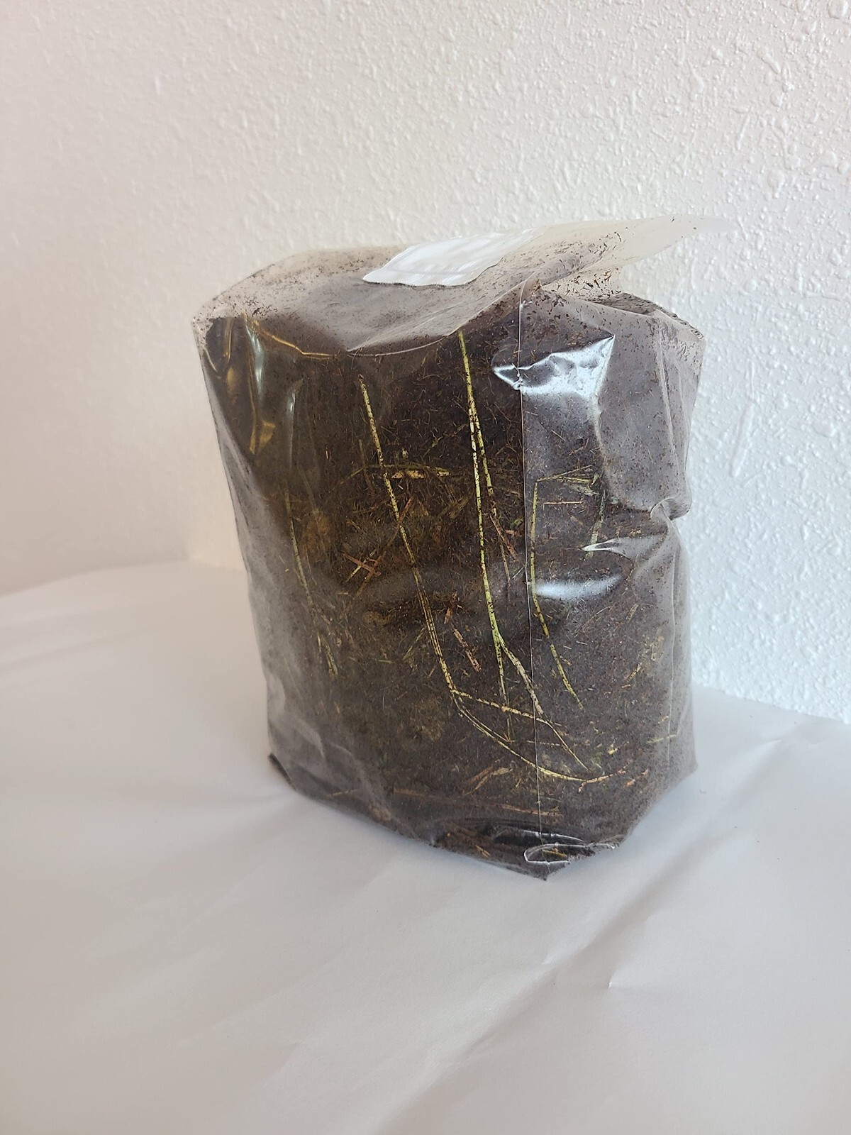 Colorado Horse Manure Substrate for Dung and Wood Loving Mushrooms or ...