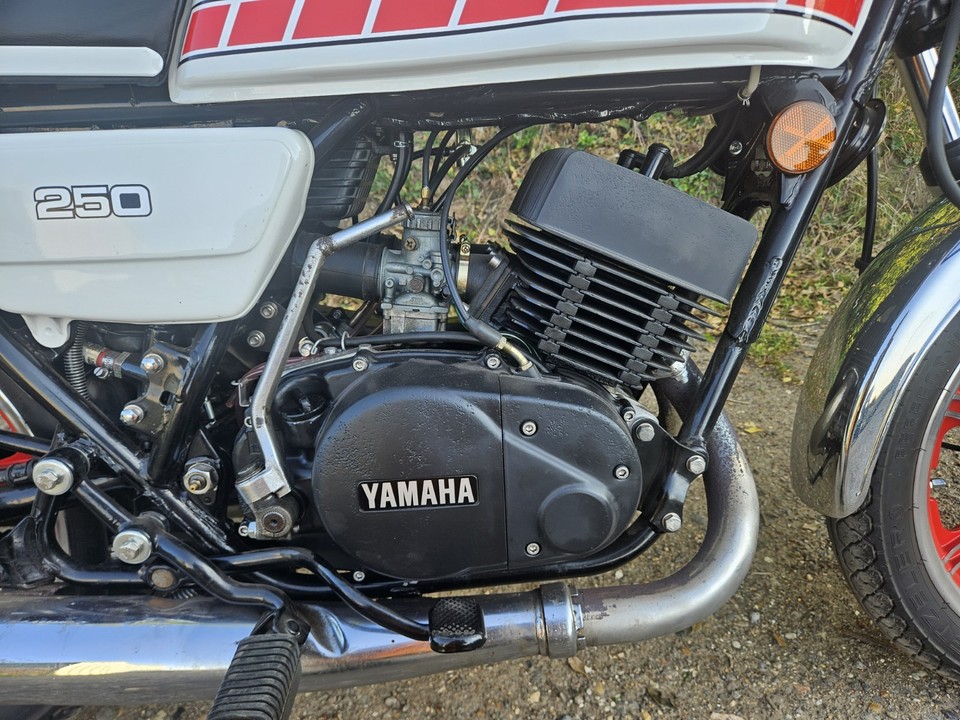 Yamaha Rd250f 1979 | eBay UK