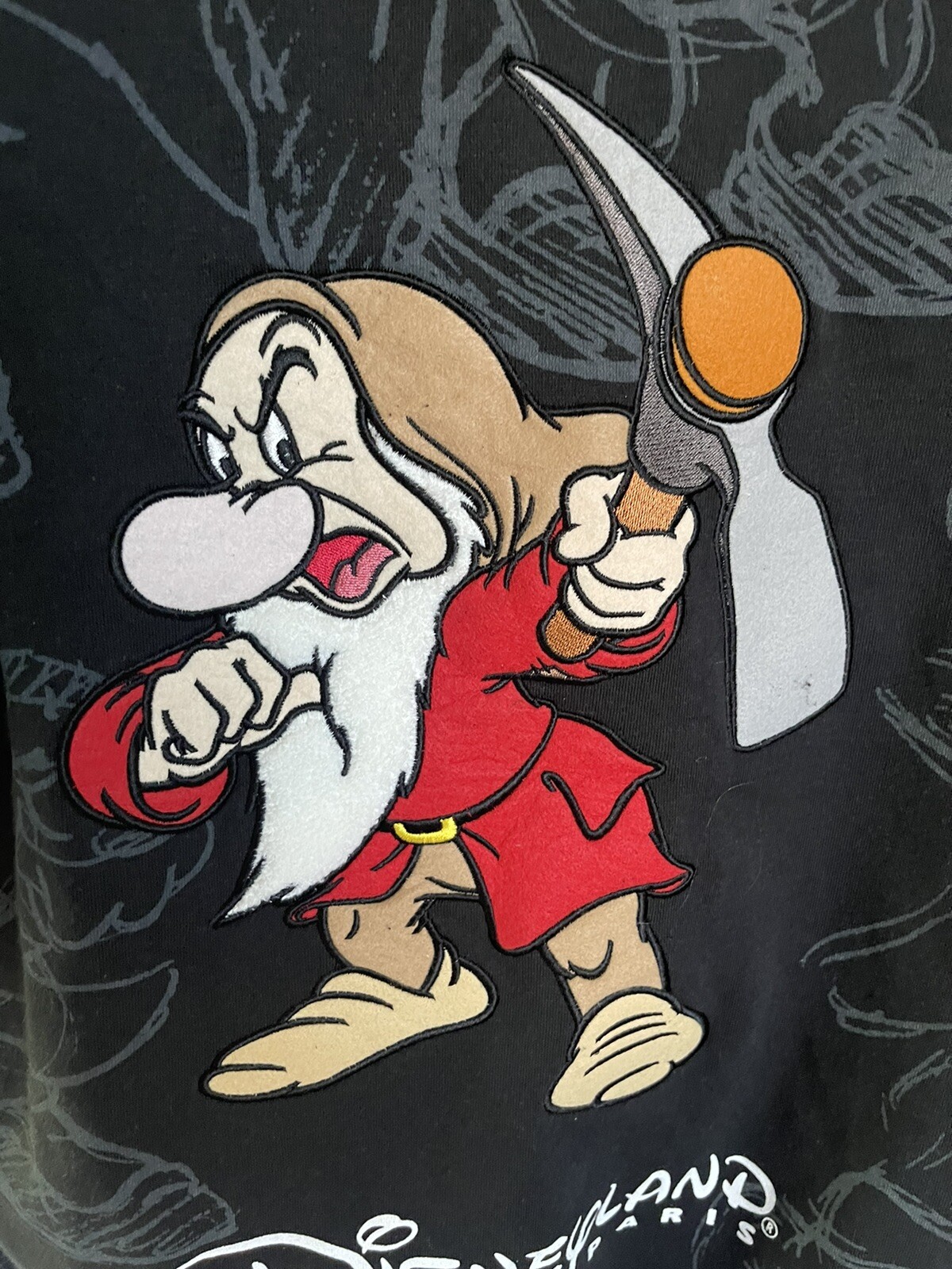 Disney Parks Disneyland Paris Grumpy Zip Hoodie Snow … - Gem