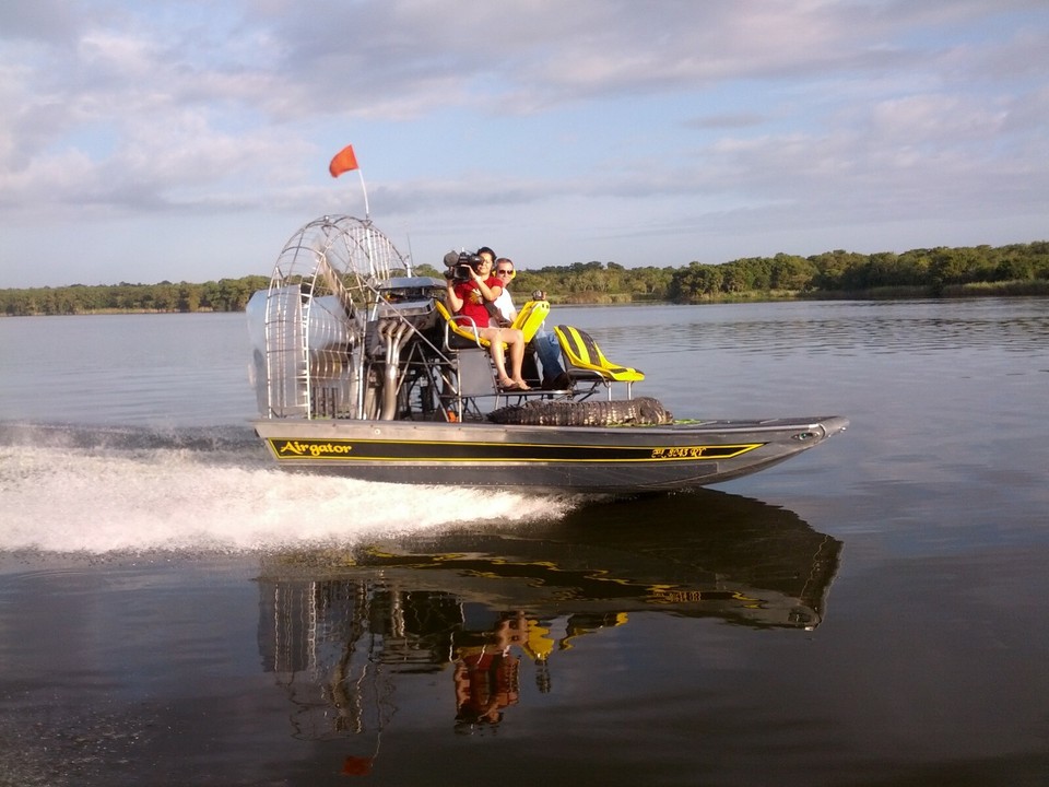 Wild Alligator leather Belt Skin Gator Hide Golf bike Causal Dress 44 ...