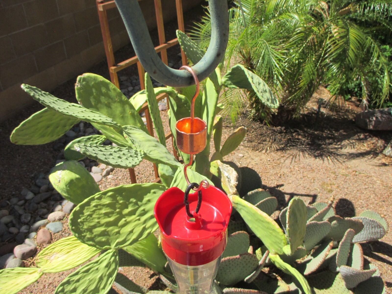 6PK Ant Moat for Hummingbird Feeder and Oriole feeders Ants Guard Moats ...