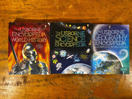 Usborne Encyclopedia Lot – Science, World History & Geography with ...