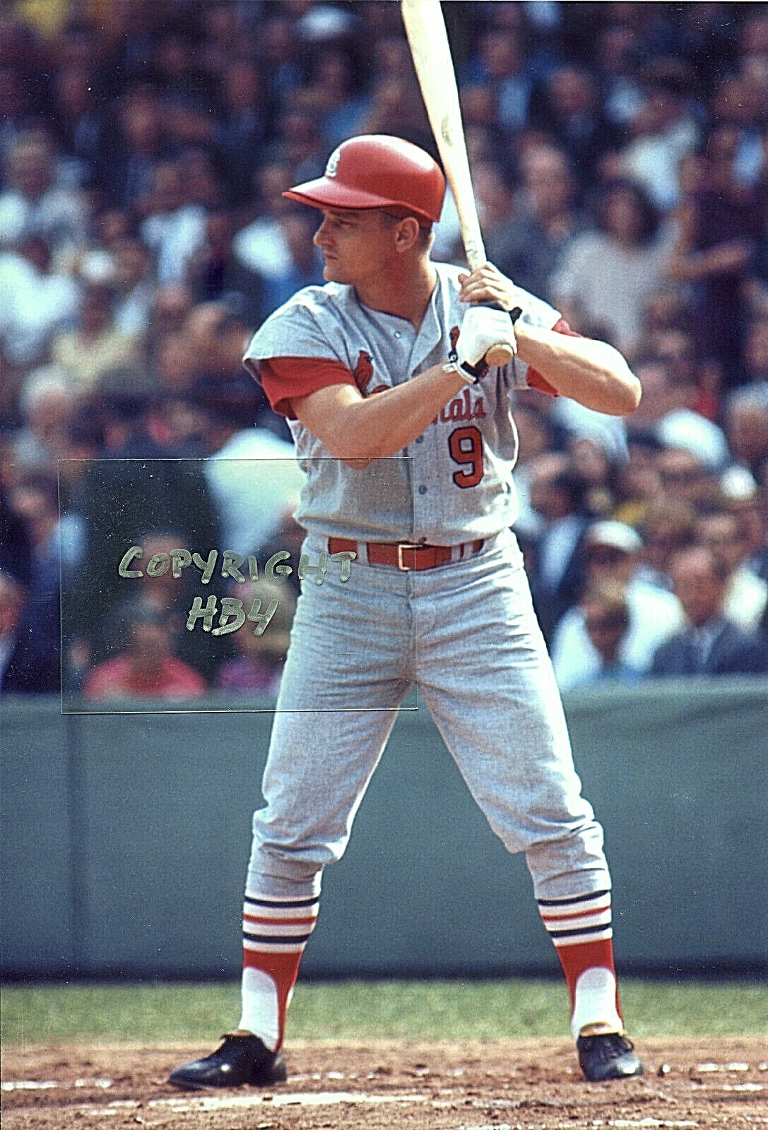 Roger Maris Cardinals