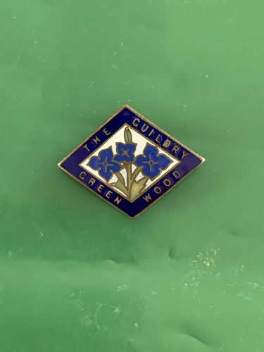 Rare Old Vintage Girl Guides Enamel Badge Guildry Green Wood | eBay UK
