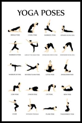 Yoga Poses Reference Chart Studio Black White Print Poster 24x36 | eBay