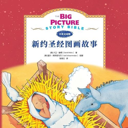 David R Helm The Big Picture Story Bible (New Testament) (Paperback ...