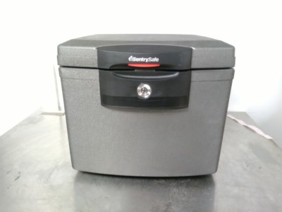 SentrySafe H4300 FIRE-SAFE Waterproof File, 0.68 Cubic Feet, Silver ...