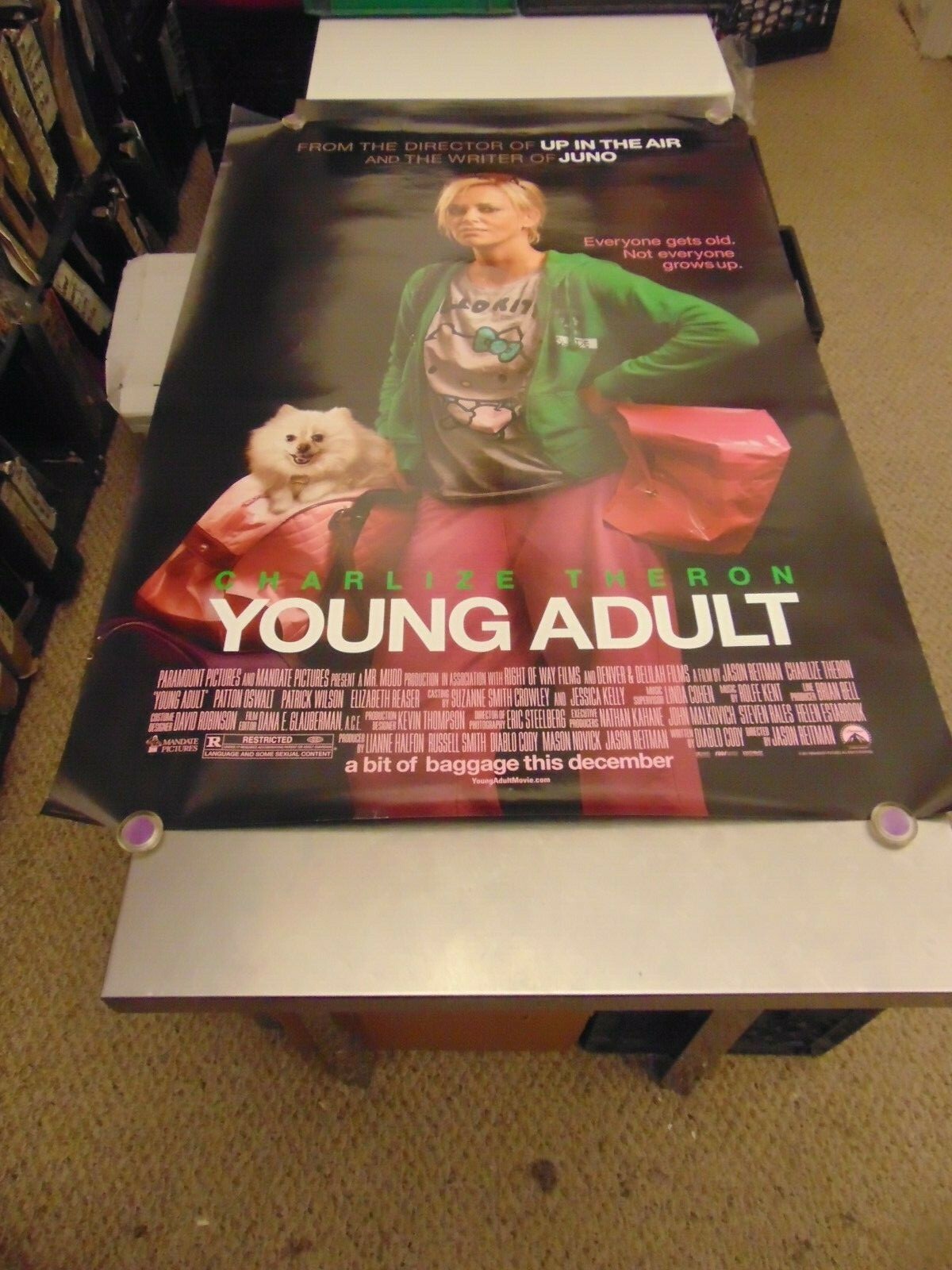 Young Adult Movie Poster