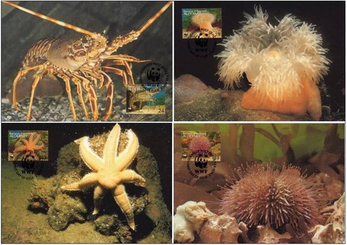 Alderney 1993 ☀ WWF Fauna / Sea life set ☀ 4 x max card | eBay