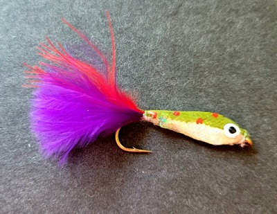 Lot 9, 2 Flies, Size 6, Epoxy Minnow Fly Fishing Flies | eBay