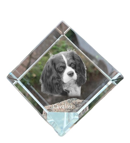 Cavalier King Charles Spaniel - Crystal Cube With Image, Horse Image In ...